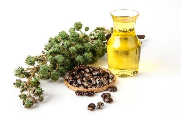 Óleo de Mamona (rícino) - Castor Oil | ️ Amor do Campo - Saboaria ...